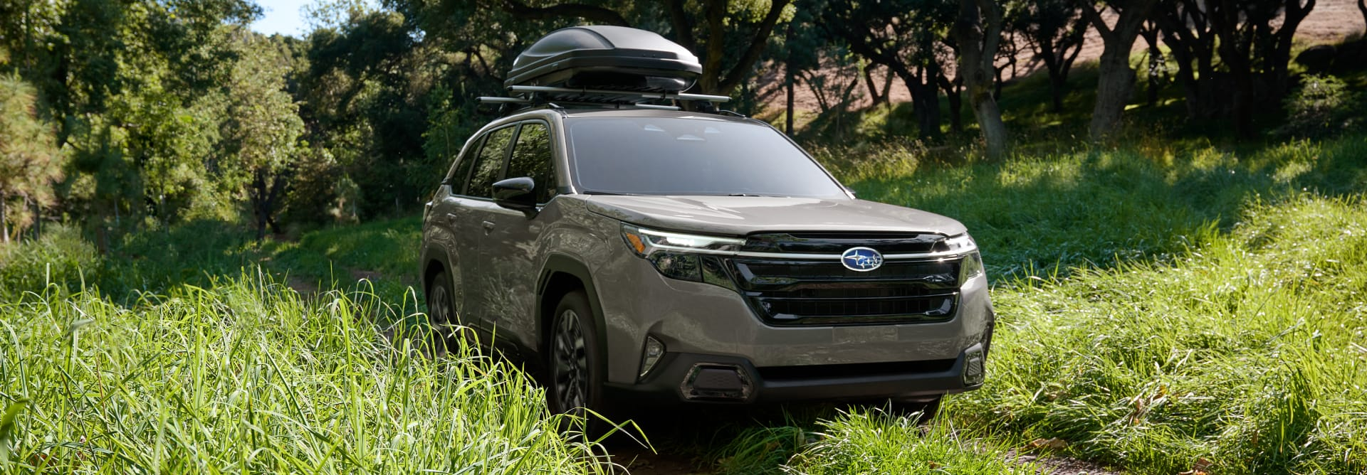 Experience the 2025 Subaru Forester: The Ultimate Adventure Companion ...